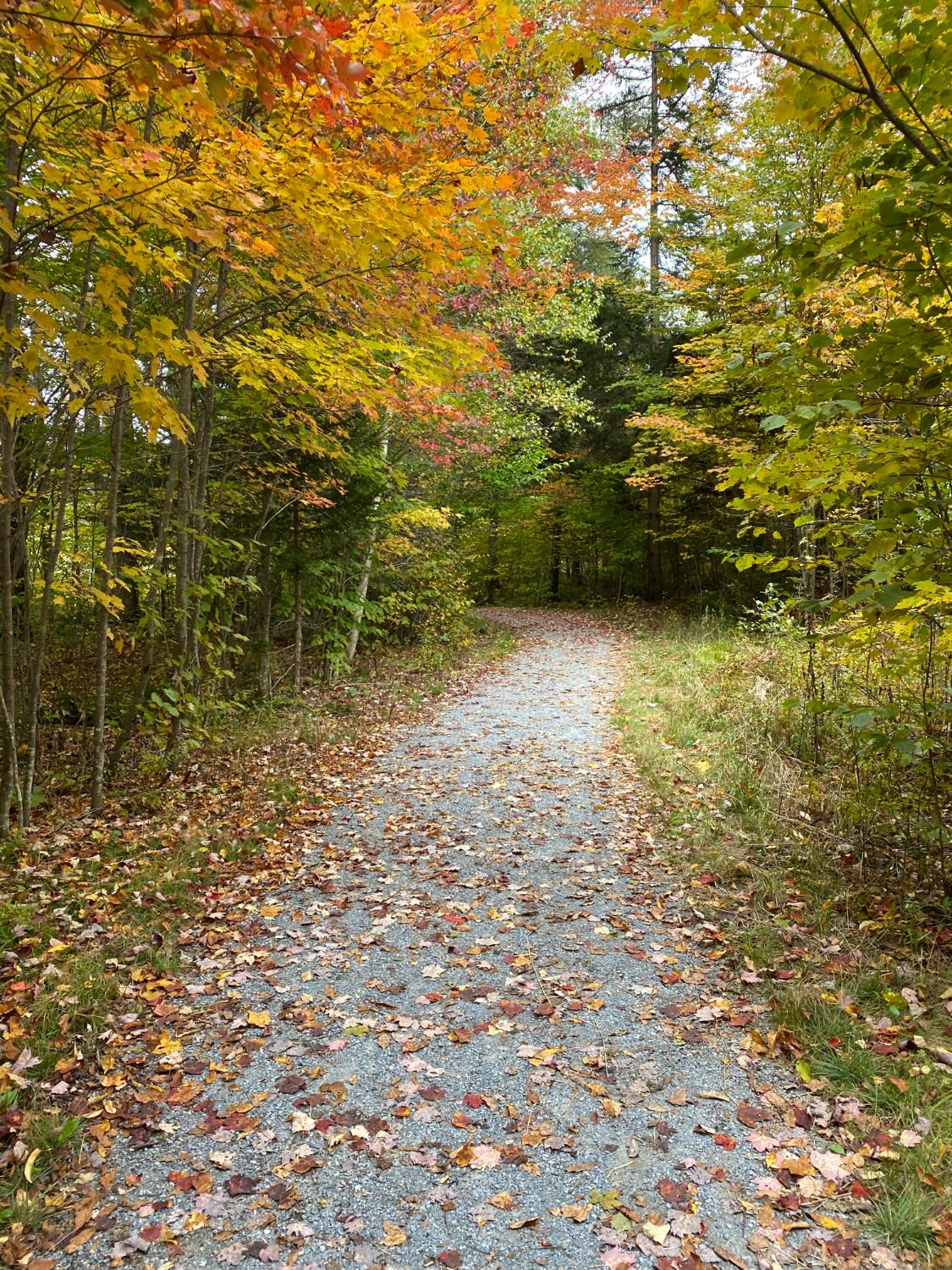 Jigsaw Puzzle | Robert Frost National Recreation Trail | 154 pieces ...