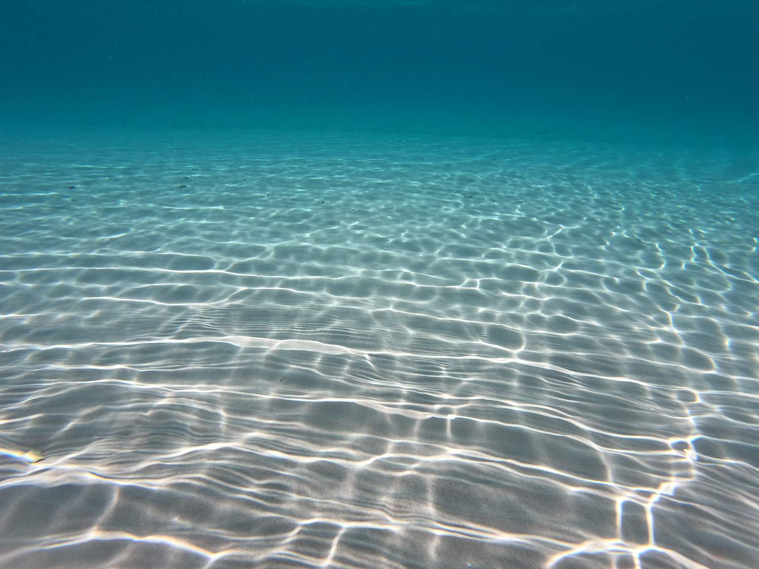 Solve Sunlight's Patterns on the Sea's Floor / Lesser Sunda Islands ...