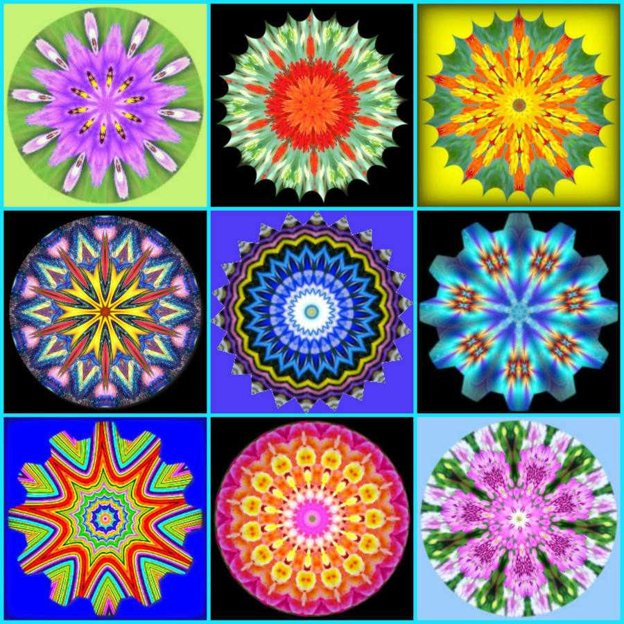 Solve Mini Kal Collage jigsaw puzzle online with 36 pieces