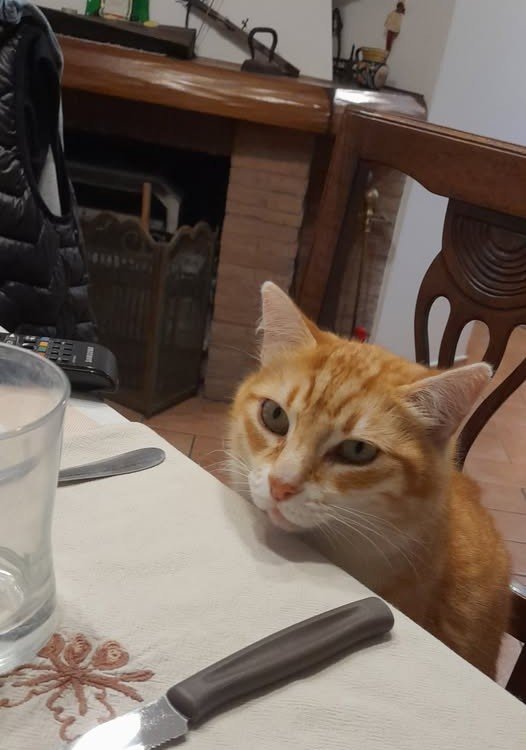 Solve Waiting jigsaw puzzle online with 70 pieces