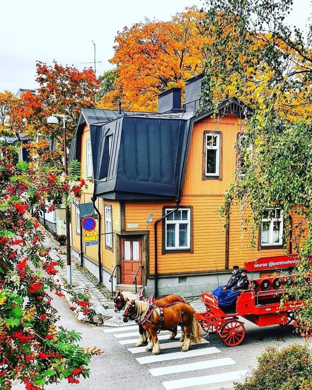 Solve Helsinki jigsaw puzzle online with 99 pieces
