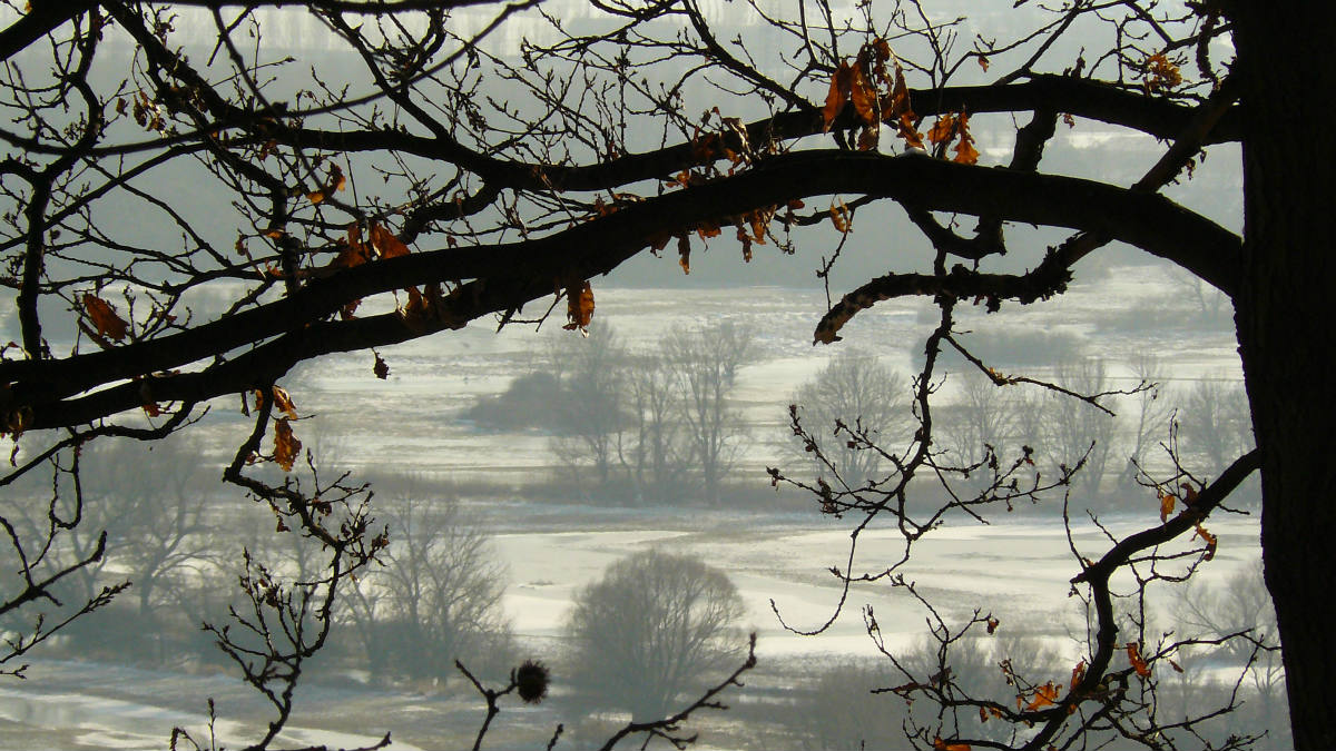 Solve Finally, the snow has come, Sahy, Slovakia jigsaw puzzle online ...