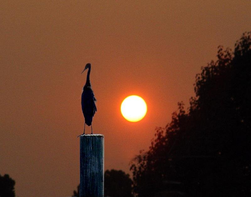 Solve The Home office - Night security guard jigsaw puzzle online with ...