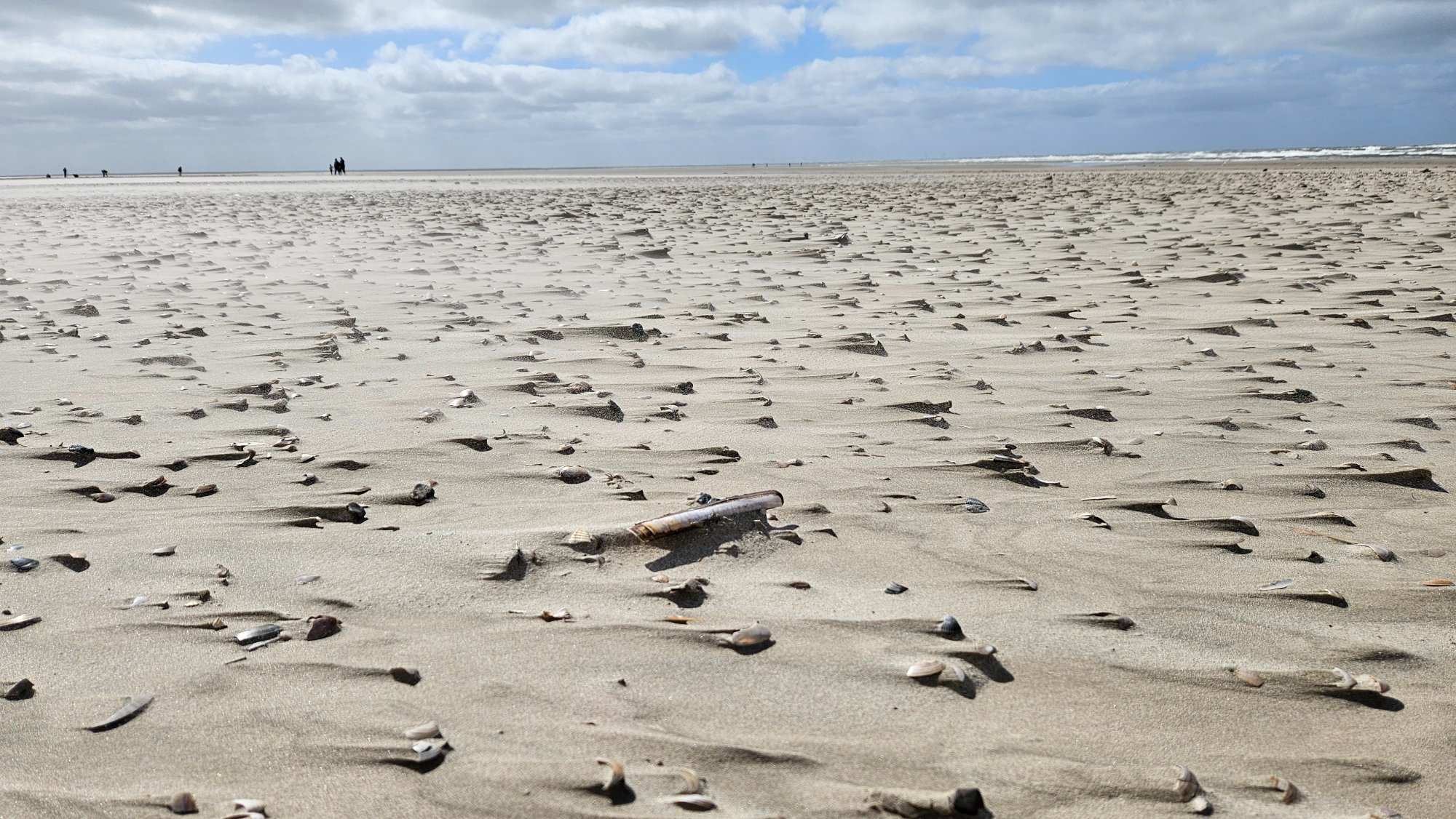 Solve After the storm jigsaw puzzle online with 220 pieces