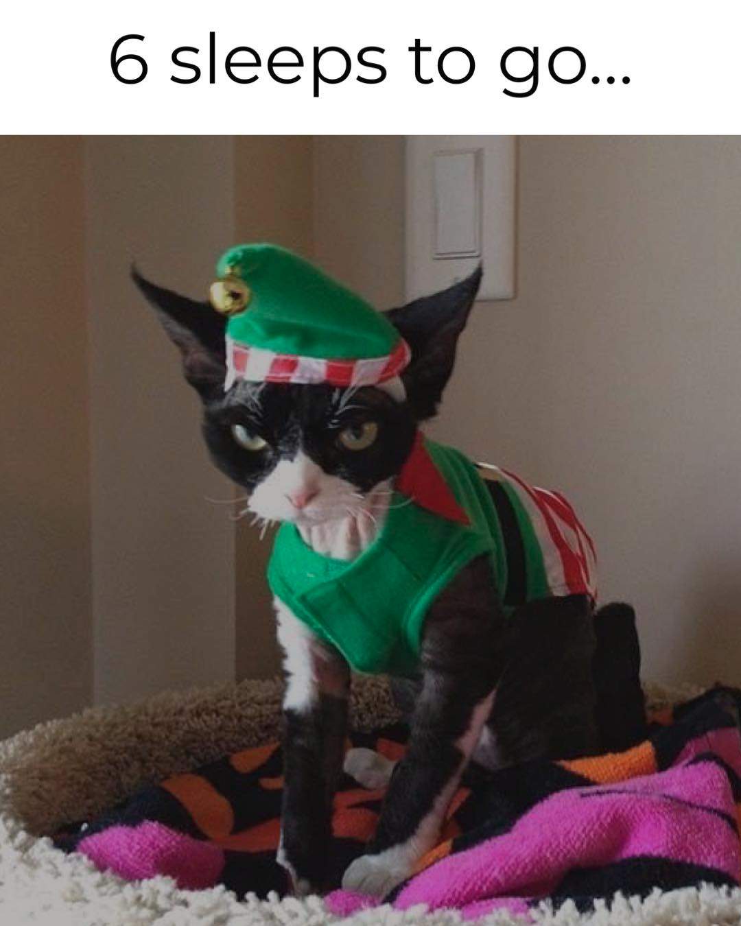 Solve 6 Sleeps to go jigsaw puzzle online with 300 pieces