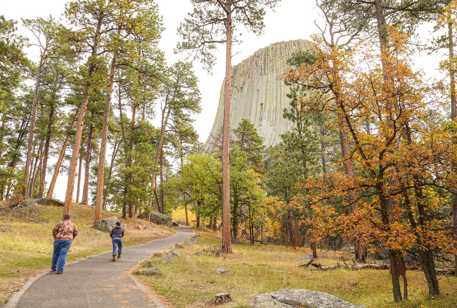 Solve DEVILS TOWER TRAIL jigsaw puzzle online with 96 pieces