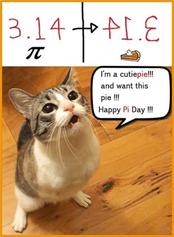 Solve Happy Pi Day! 3-14 Is The Perfect Day To Have Your Favorite Pie ...