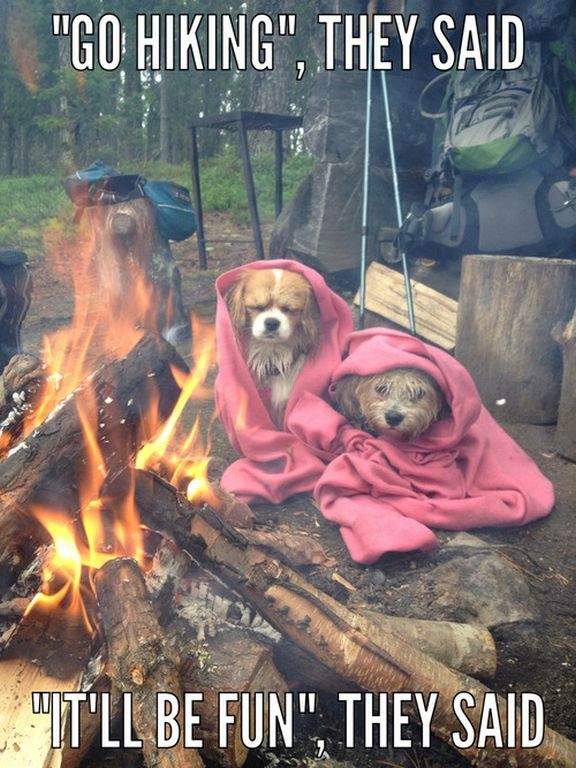 Solve "Go hiking," they said. It'll be fun," they said. jigsaw puzzle ...