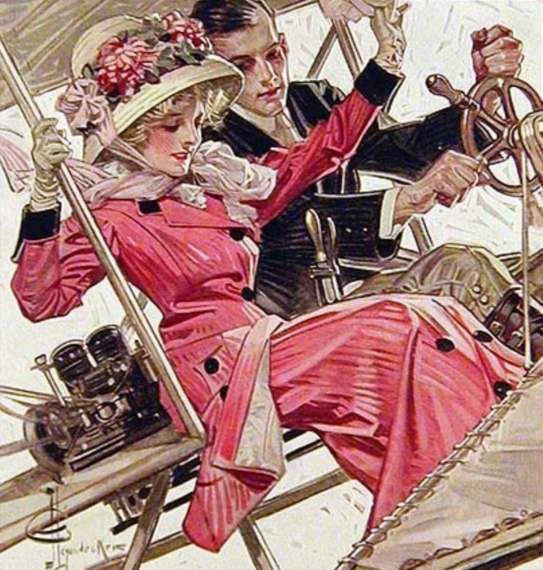 Solve Flying in Style jigsaw puzzle online with 255 pieces