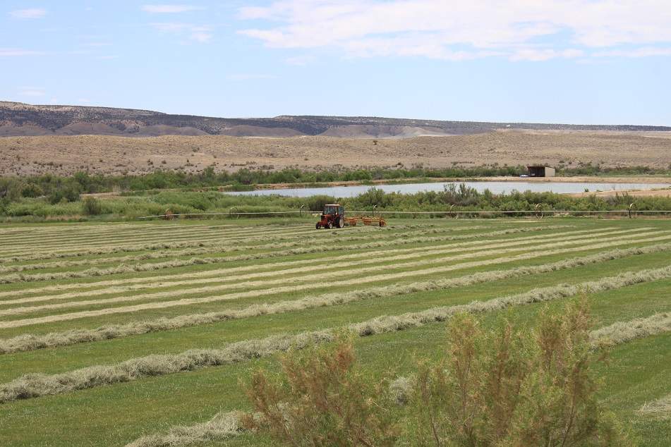 Solve Loy raking the hay before it gets baled :) So sad everything is ...