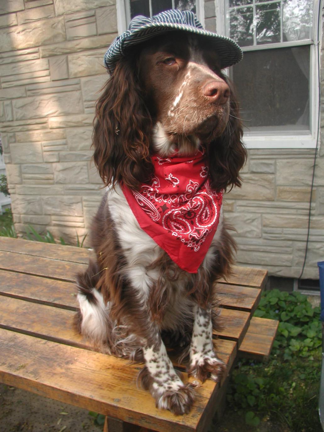 Solve All Aboard! jigsaw puzzle online with 99 pieces