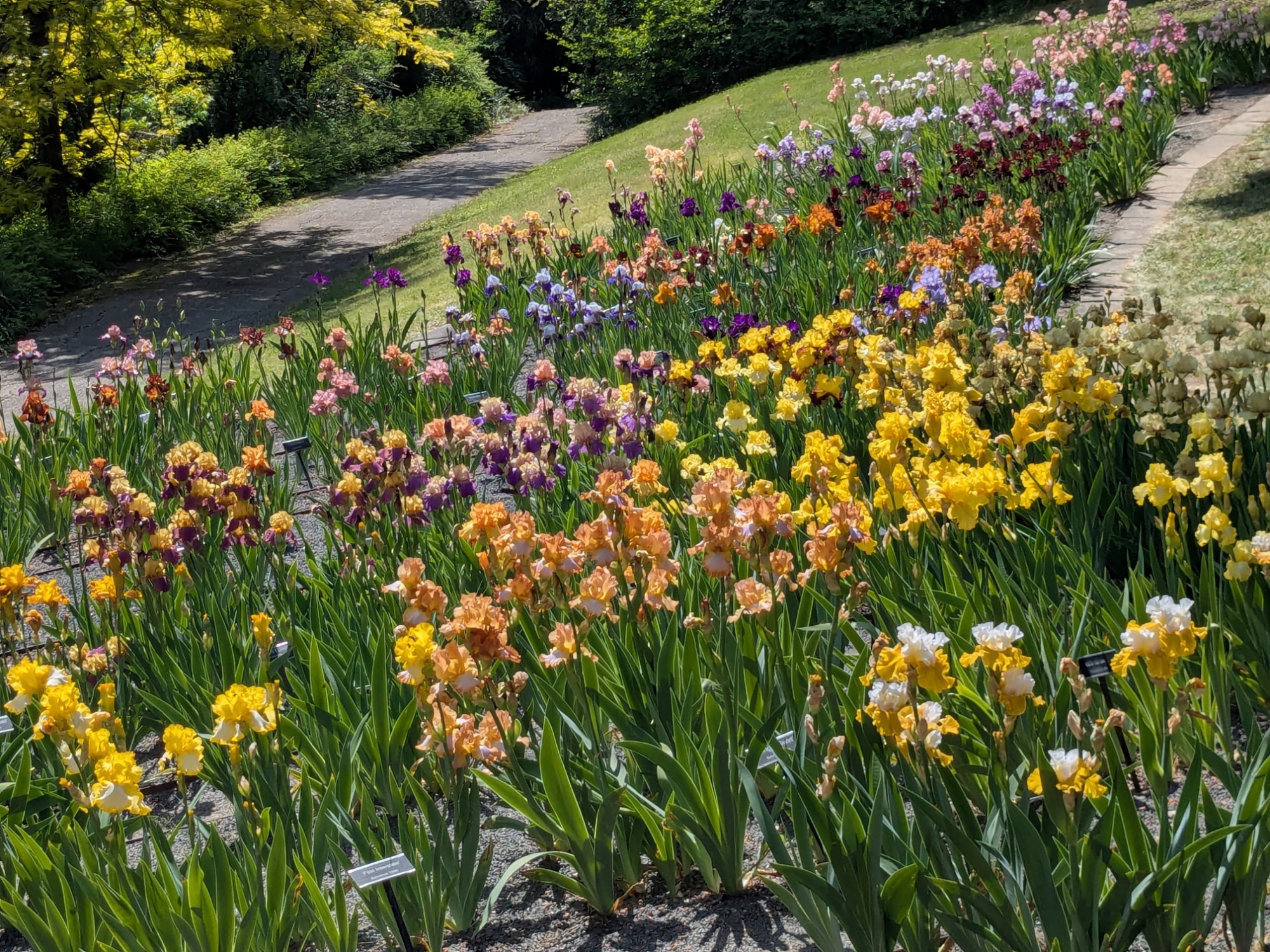 Solve Brno - arboretum jigsaw puzzle online with 192 pieces
