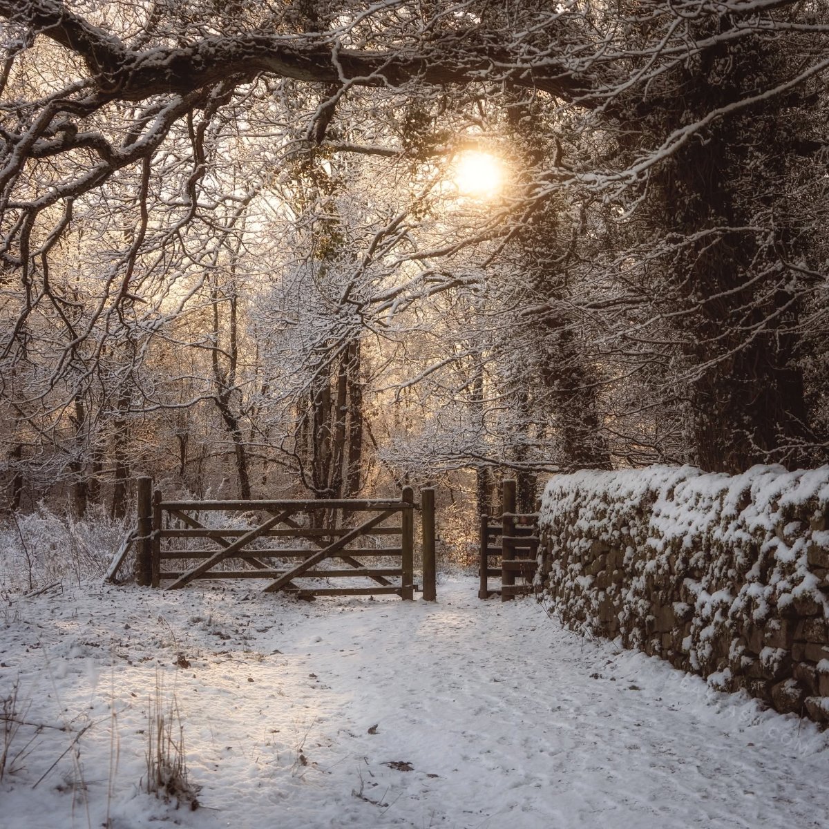 Solve Nice gate and a nice stone wall. up to 600 pcs jigsaw puzzle ...
