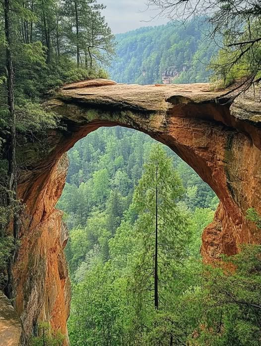 Jigsaw Puzzle | 48 pieces | The Red River Gorge, Kentucky | Jigidi