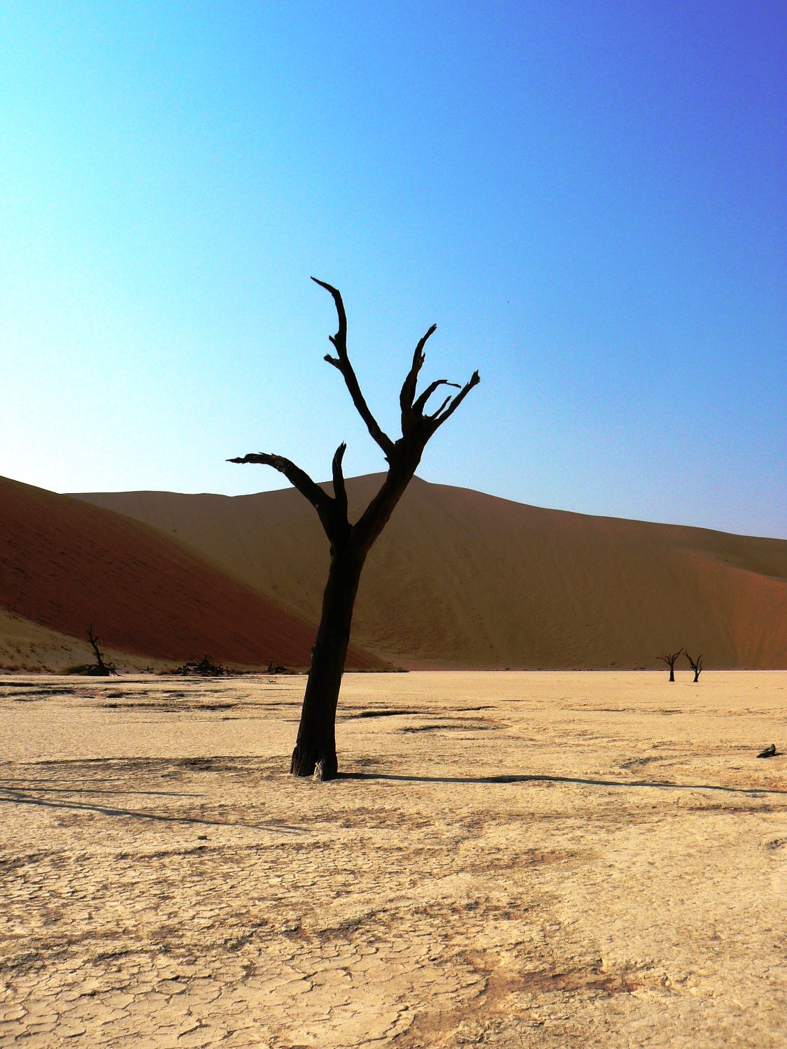 Solve Salt pan in the desert in Namibia jigsaw puzzle online with 154 ...