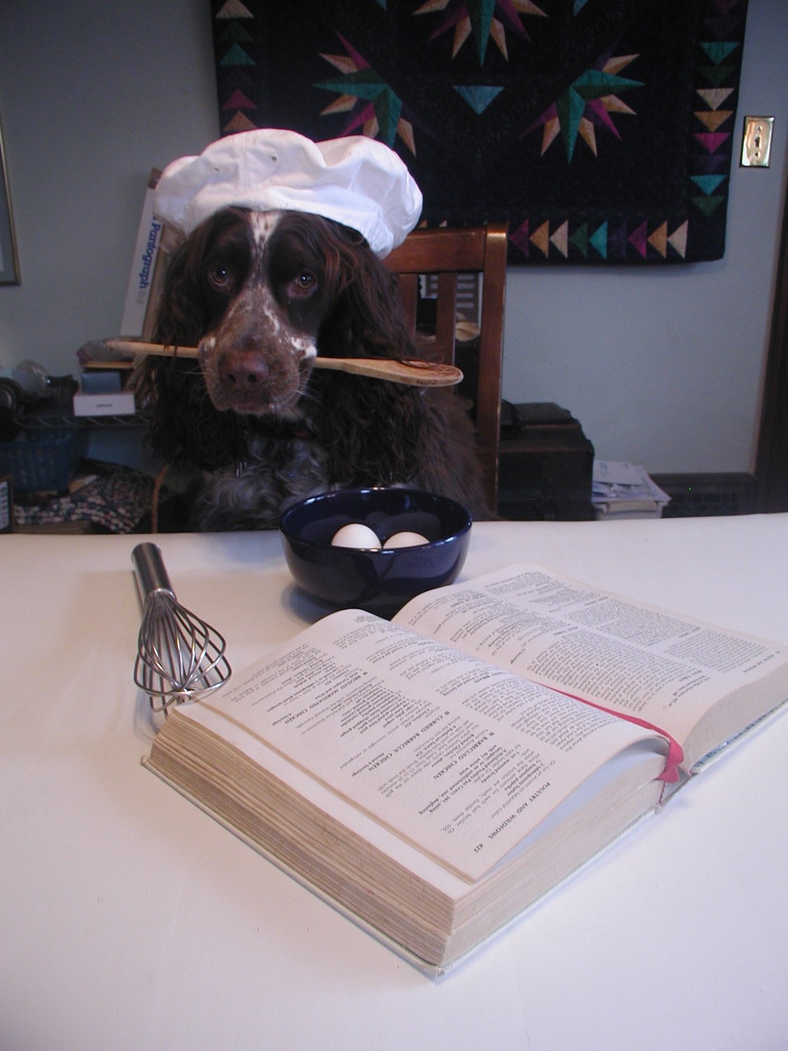 Solve Chef Willow getting ready to make her famous Woofles! jigsaw ...