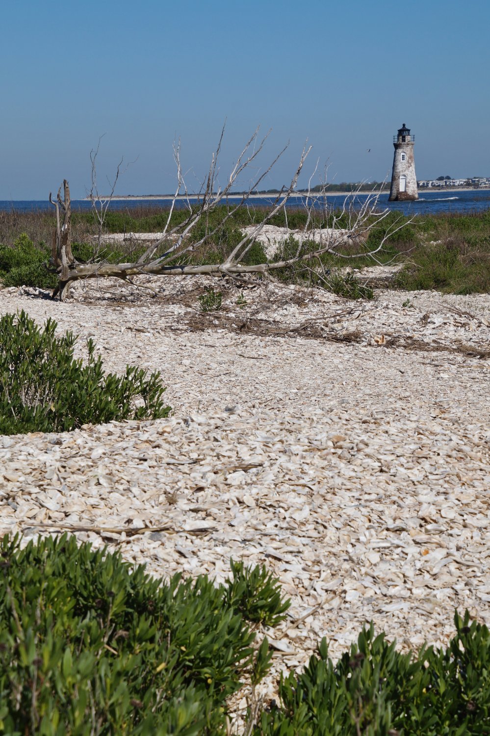 Solve Shell shocked jigsaw puzzle online with 77 pieces