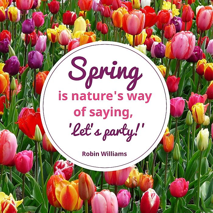 Solve Spring jigsaw puzzle online with 25 pieces