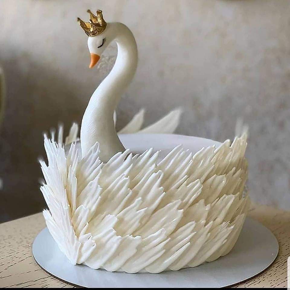 Solve dort jigsaw puzzle online with 100 pieces