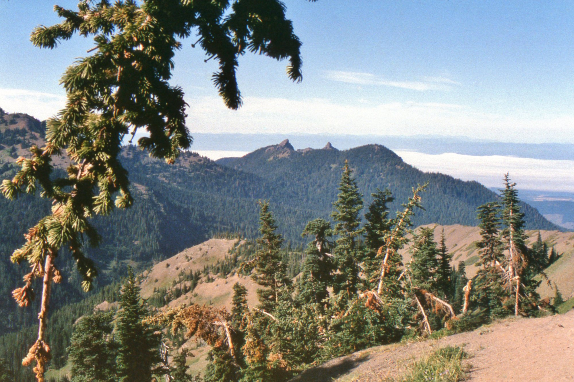 Solve Ridge jigsaw puzzle online with 77 pieces