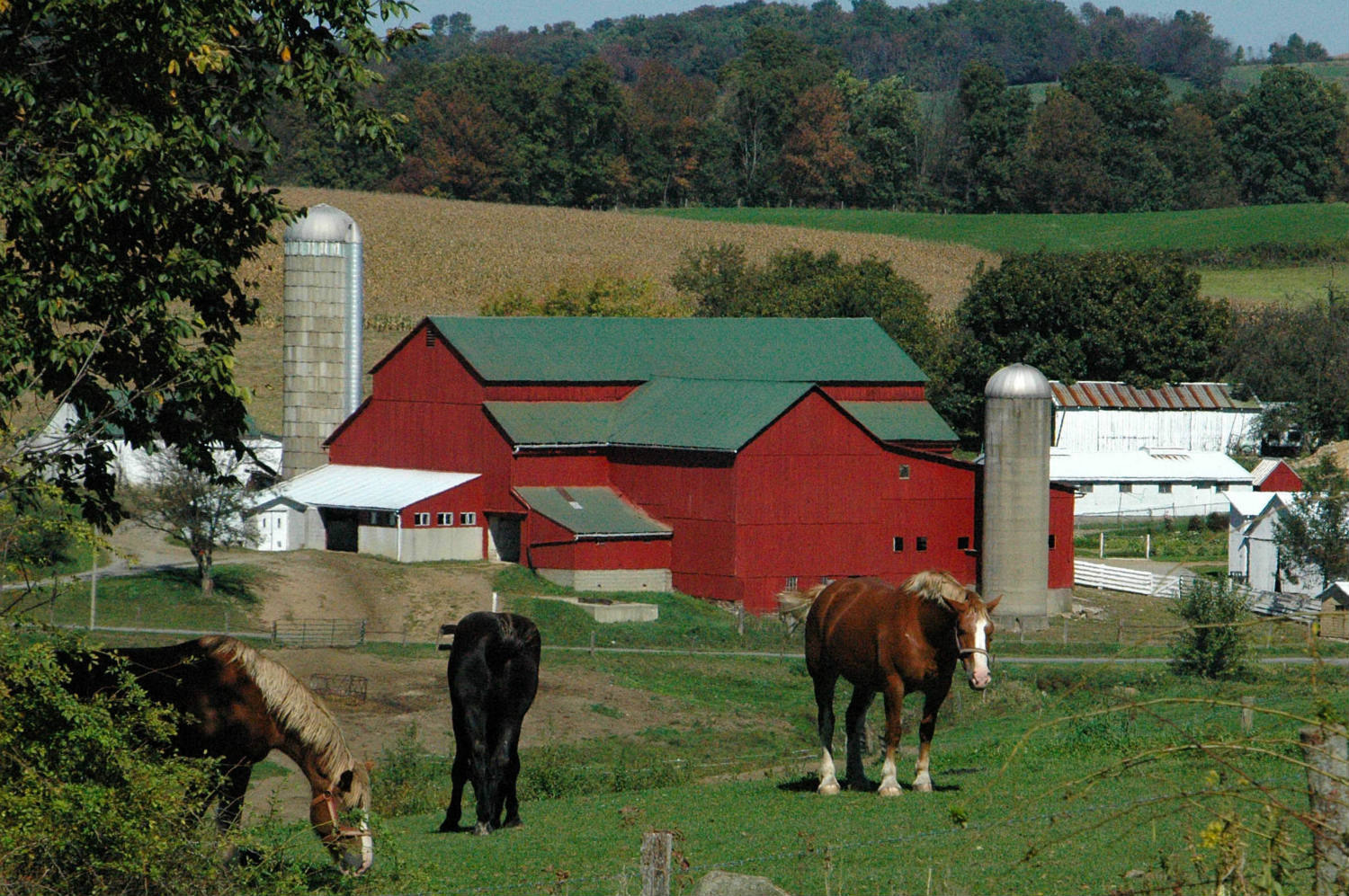 Solve Berlin OH Farm jigsaw puzzle online with 150 pieces