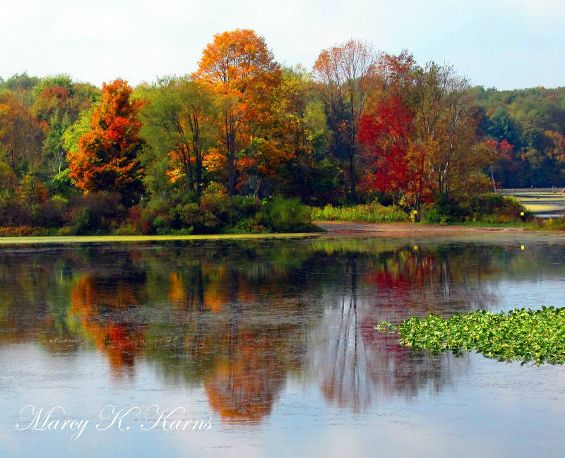 Solve Lake-Wilhelm Captured by Marcy Rankin-Karns. jigsaw puzzle online ...