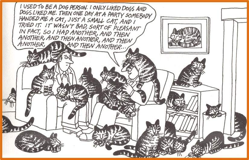 Solve One Can Never Have Too Many Kliban Cats! jigsaw puzzle online ...