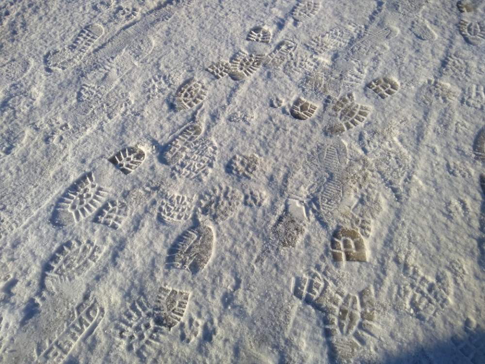 Solve Footprints in the snow jigsaw puzzle online with 12 pieces