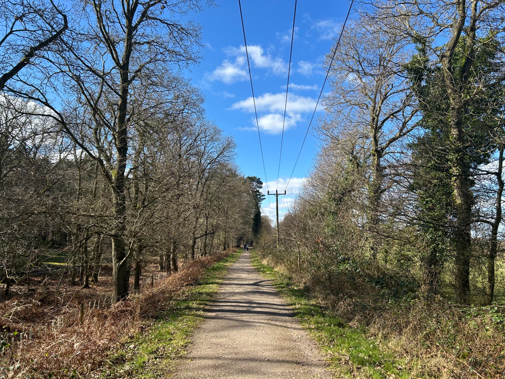 Solve Weavers Way Footpath jigsaw puzzle online with 108 pieces