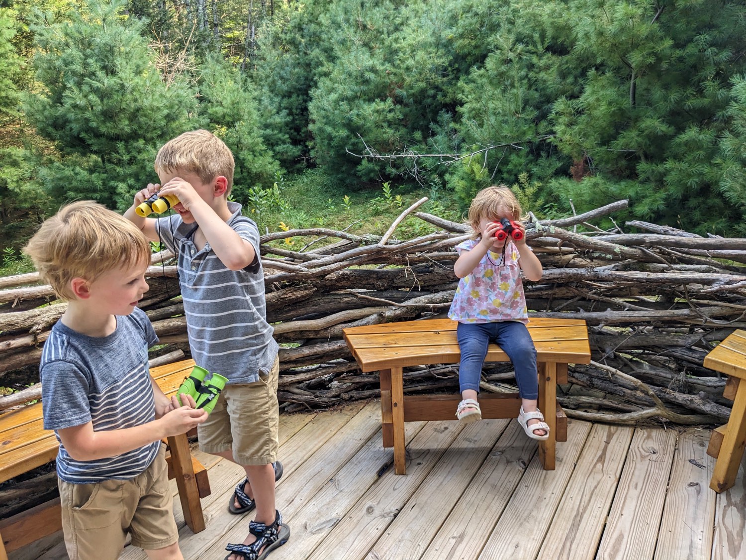 Solve Is there anything to see? jigsaw puzzle online with 20 pieces