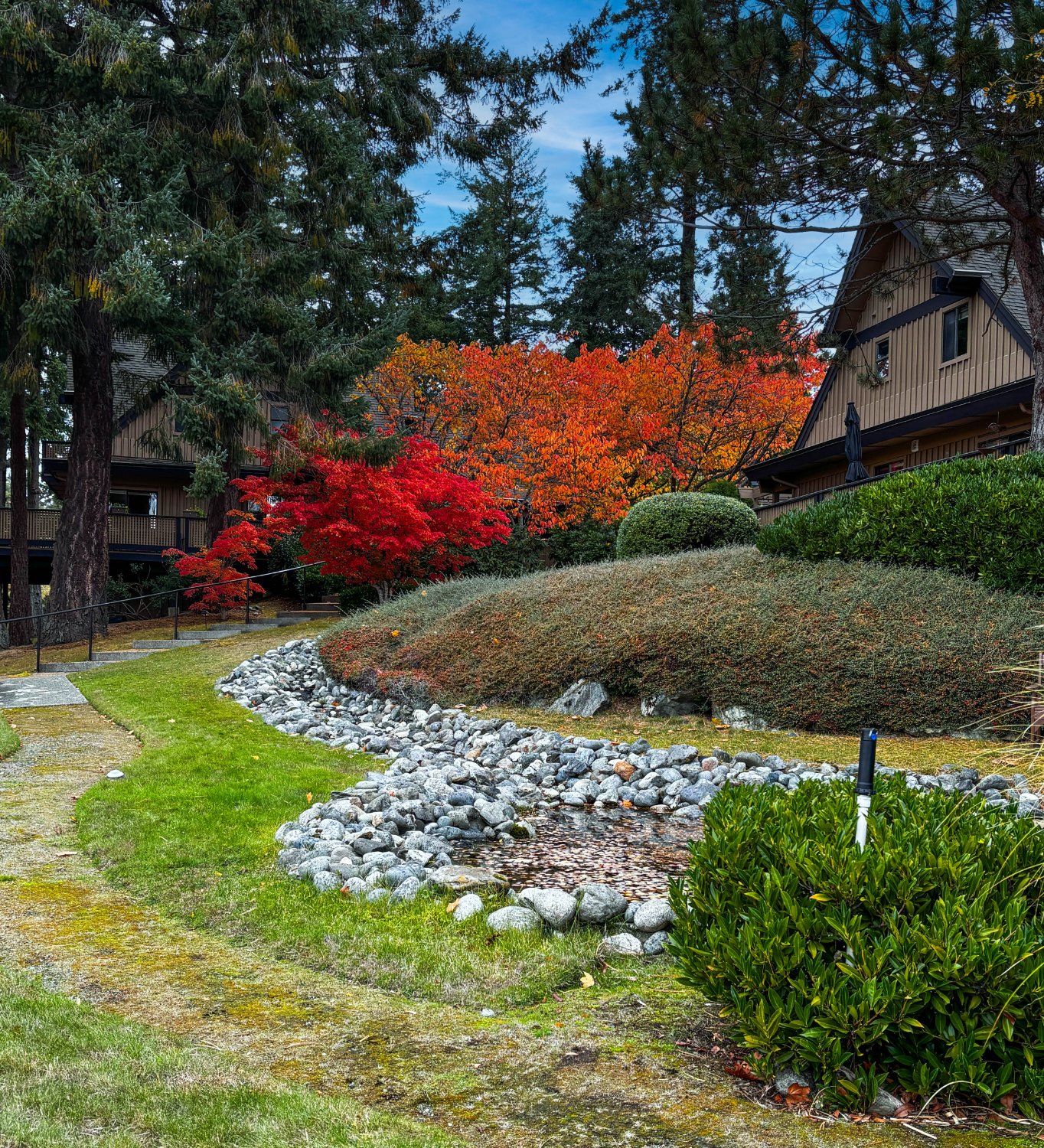 Solve Fall scenery/Paysage d'automne jigsaw puzzle online with 132 pieces