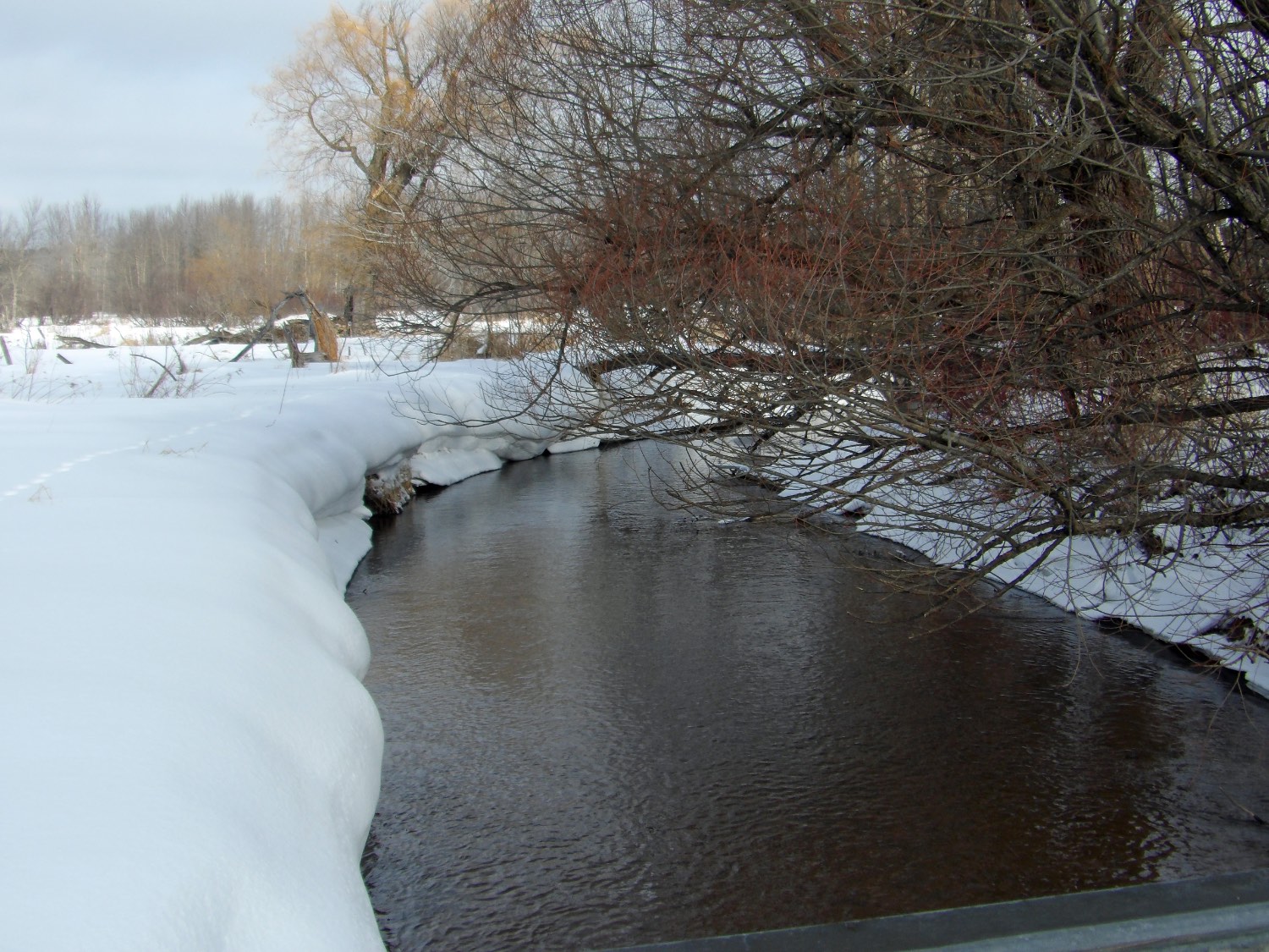 Solve Overhanging snow bank jigsaw puzzle online with 20 pieces
