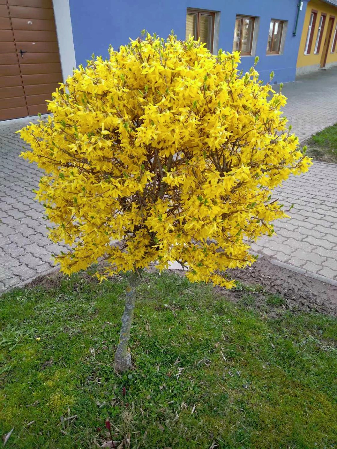 Solve Zlatice... jigsaw puzzle online with 48 pieces