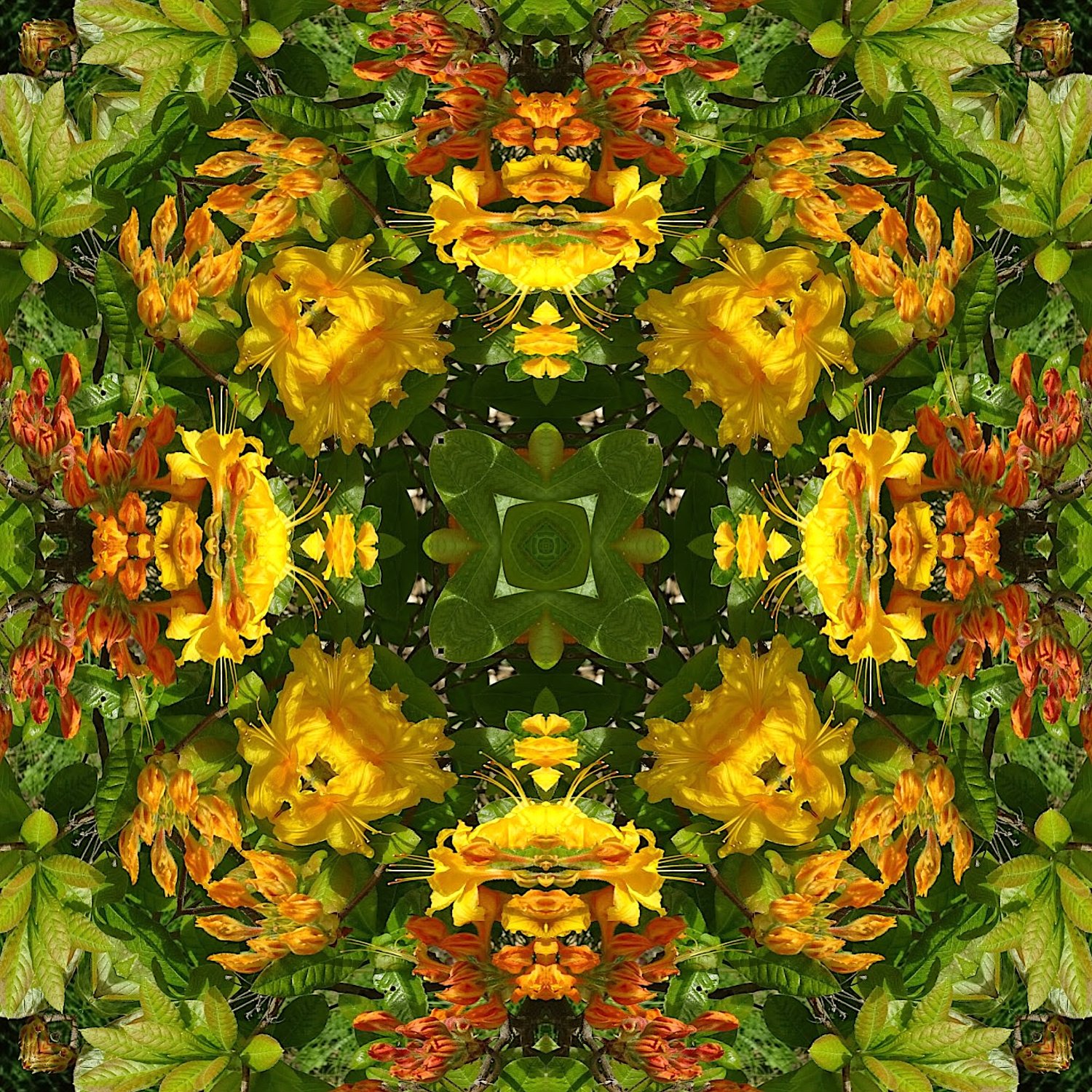 Solve #1 small jigsaw puzzle online with 64 pieces