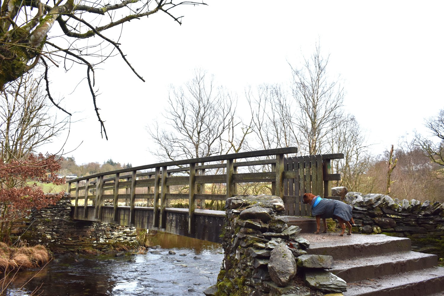 Jigsaw Puzzle | 12 pieces | Bridge over Little Langdale beck, Lake ...