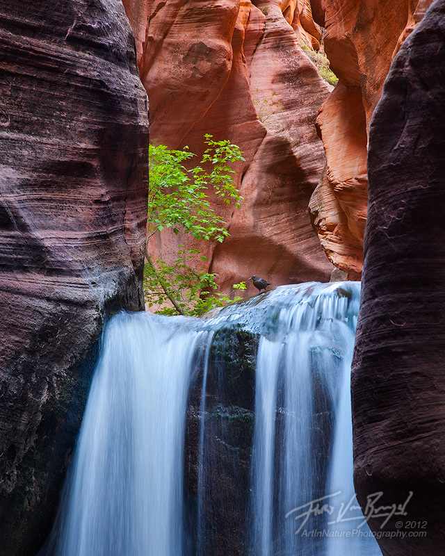 Solve Dipper Falls, Zion Nat. Park, Utah jigsaw puzzle online with 99 ...