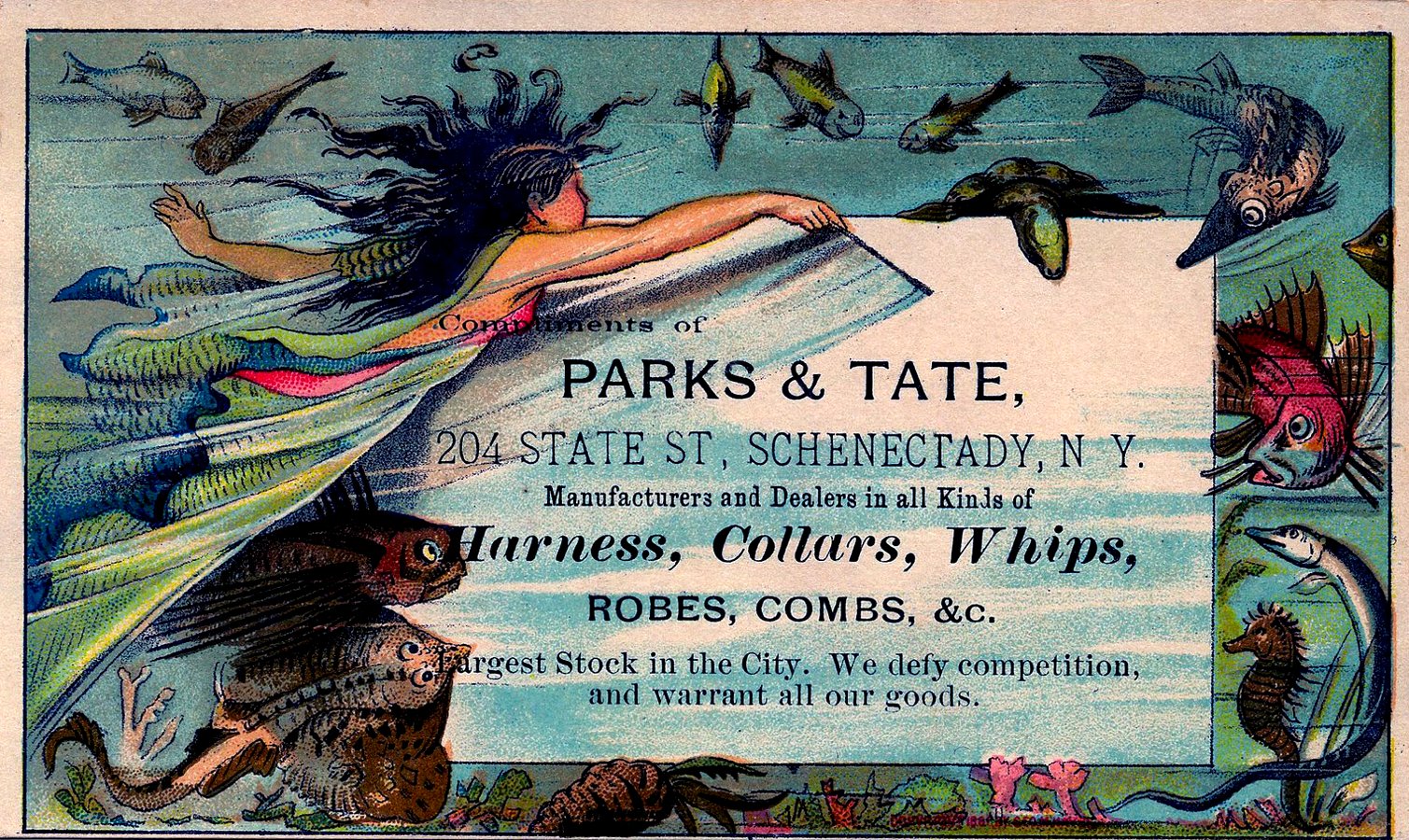 Solve Parks & Tate, 1881, trade card by George Melville Hayes (American ...