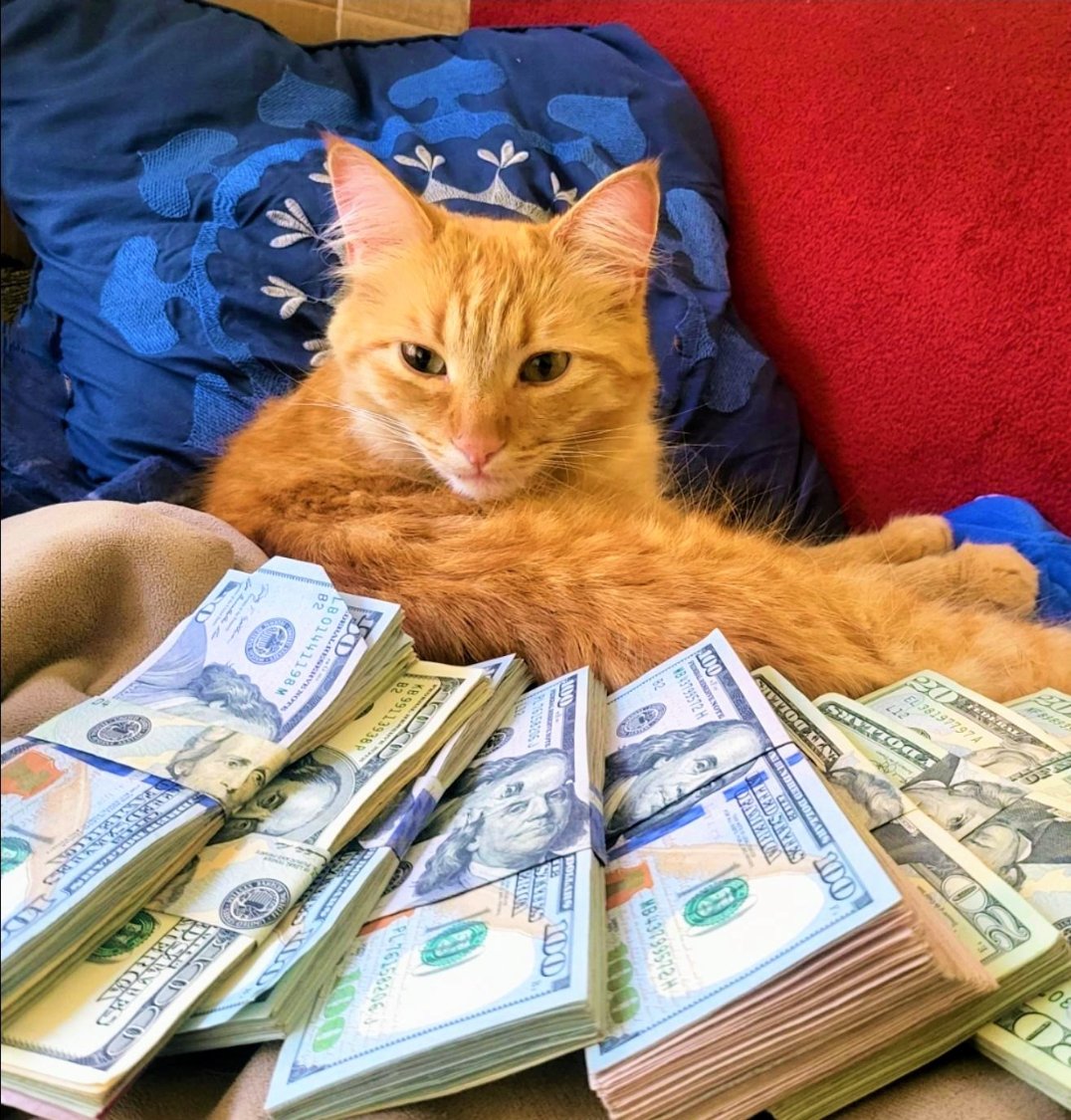 Jigsaw Puzzle | 9 pieces | No matter how sleepy, Bank Vault Overseer ...