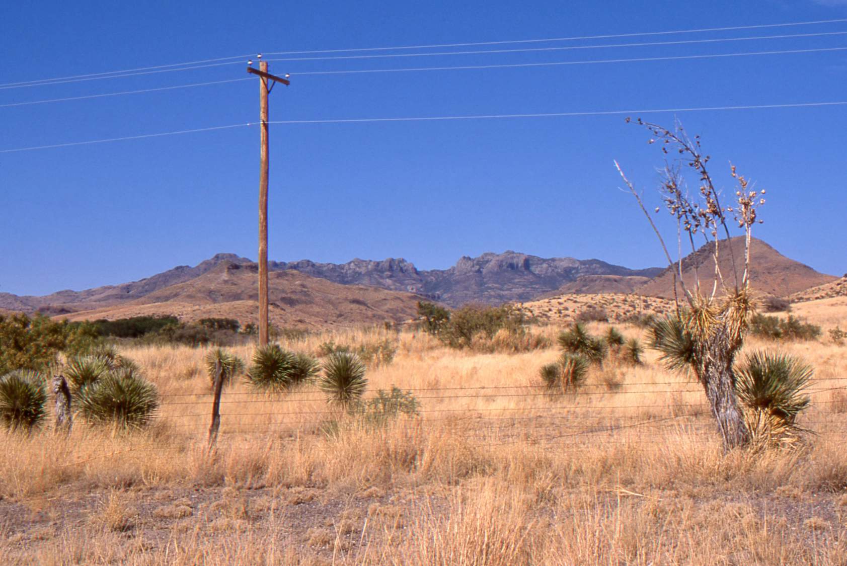 Solve Dry jigsaw puzzle online with 126 pieces