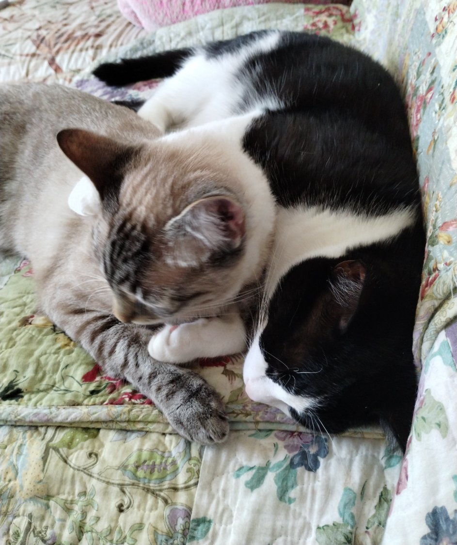 Solve Daddy Loves Me, Too! jigsaw puzzle online with 20 pieces