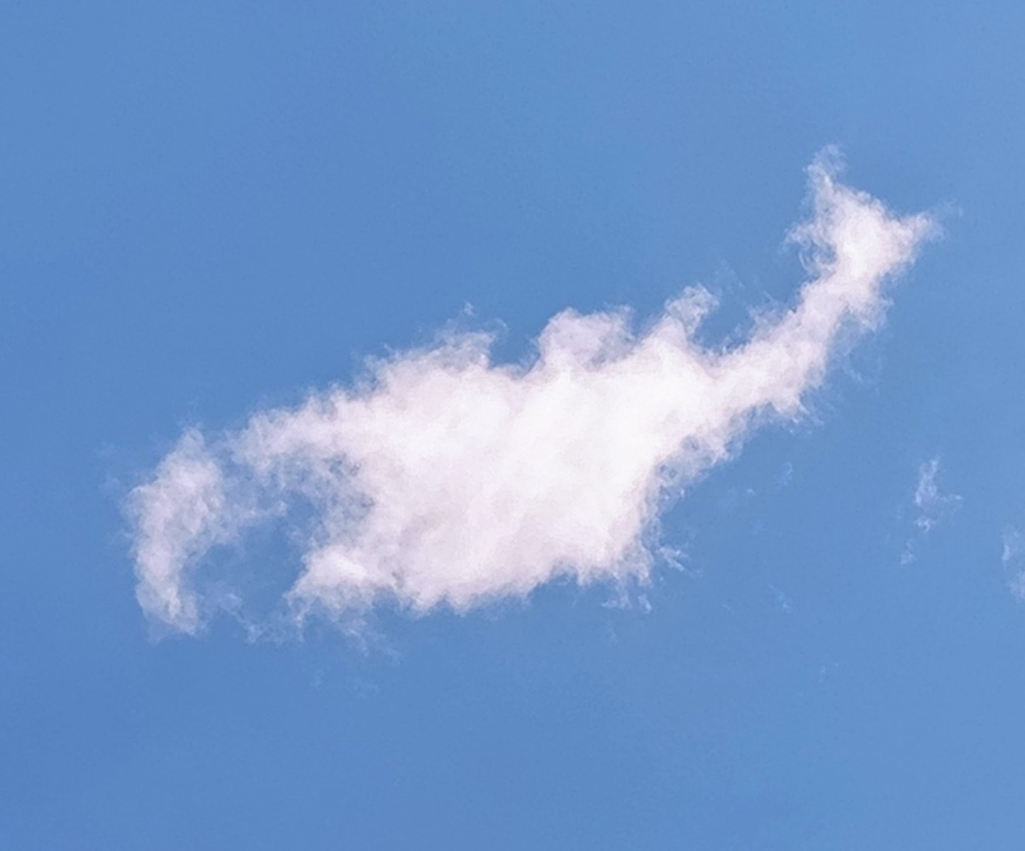 Solve Took this picture of this cloud, what does it look like... To me ...