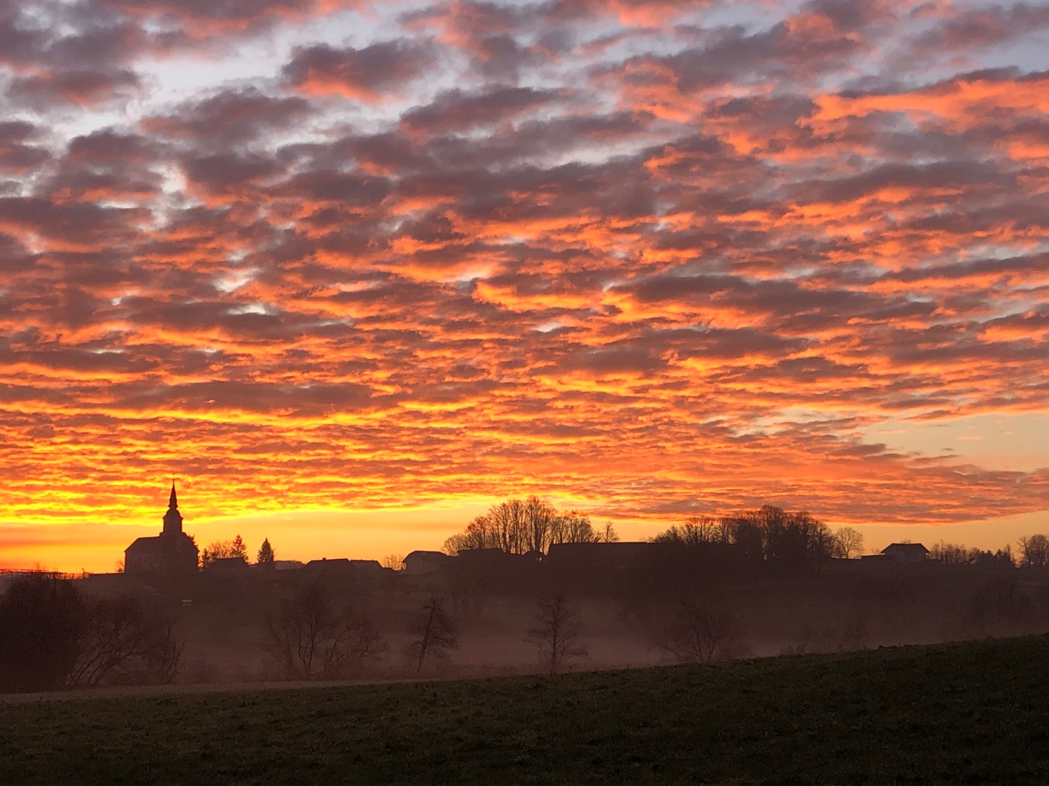 Solve Early in the morning jigsaw puzzle online with 30 pieces