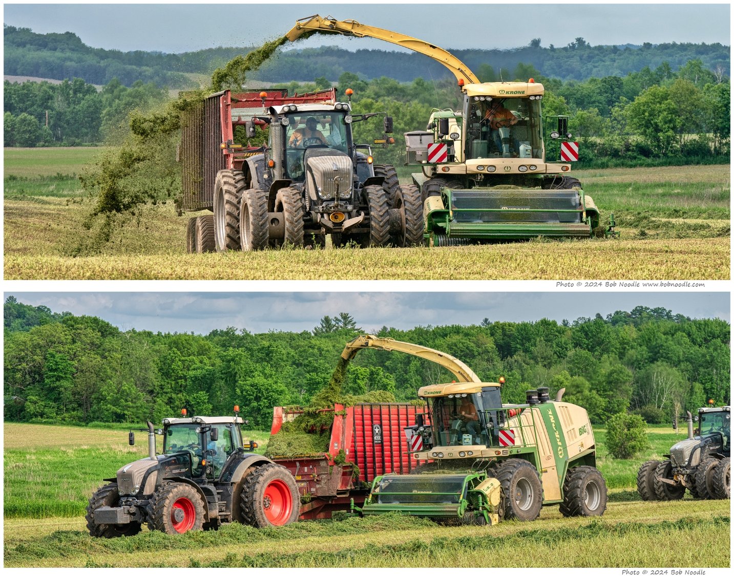 Solve A Two 'Fer jigsaw puzzle online with 12 pieces