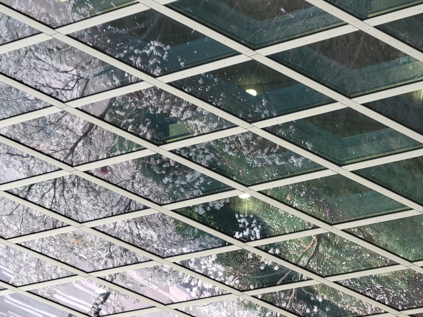 Jigsaw Puzzle | 48 pieces | Seattle Spring Reflection | Jigidi