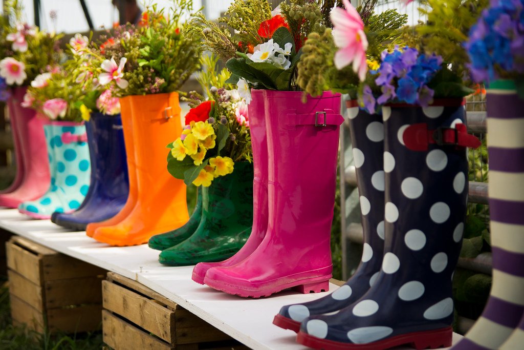 Solve Wellie planters jigsaw puzzle online with 77 pieces