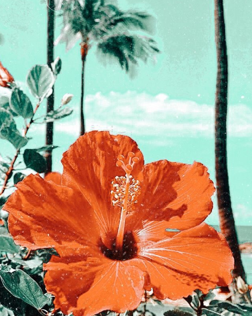 Solve Aloha Hawaii Flower jigsaw puzzle online with 120 pieces