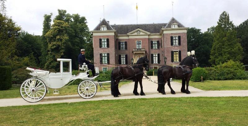 Solve friese paarden en mooie koets jigsaw puzzle online with 50 pieces