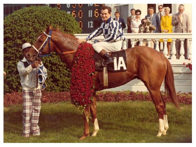 Solve SECRETARIAT jigsaw puzzle online with 12 pieces
