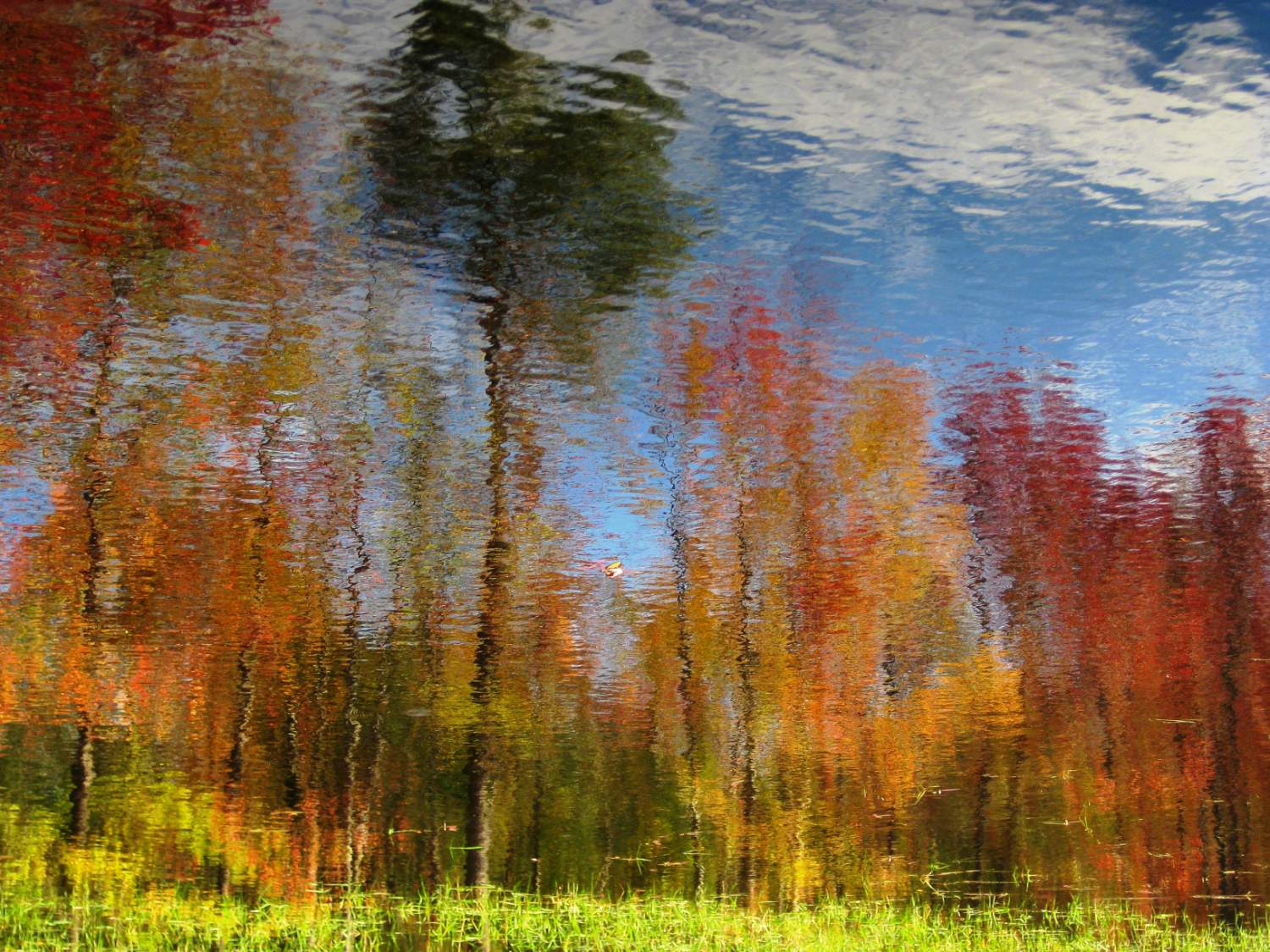 Solve watery autumn reflections jigsaw puzzle online with 70 pieces
