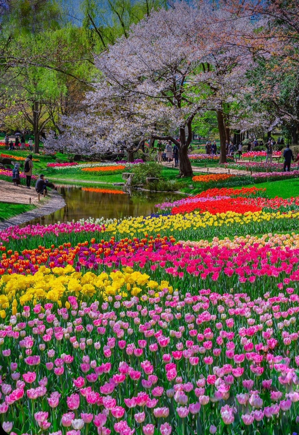 Jigsaw Puzzle | Spring in Japan | 294 pieces | Jigidi